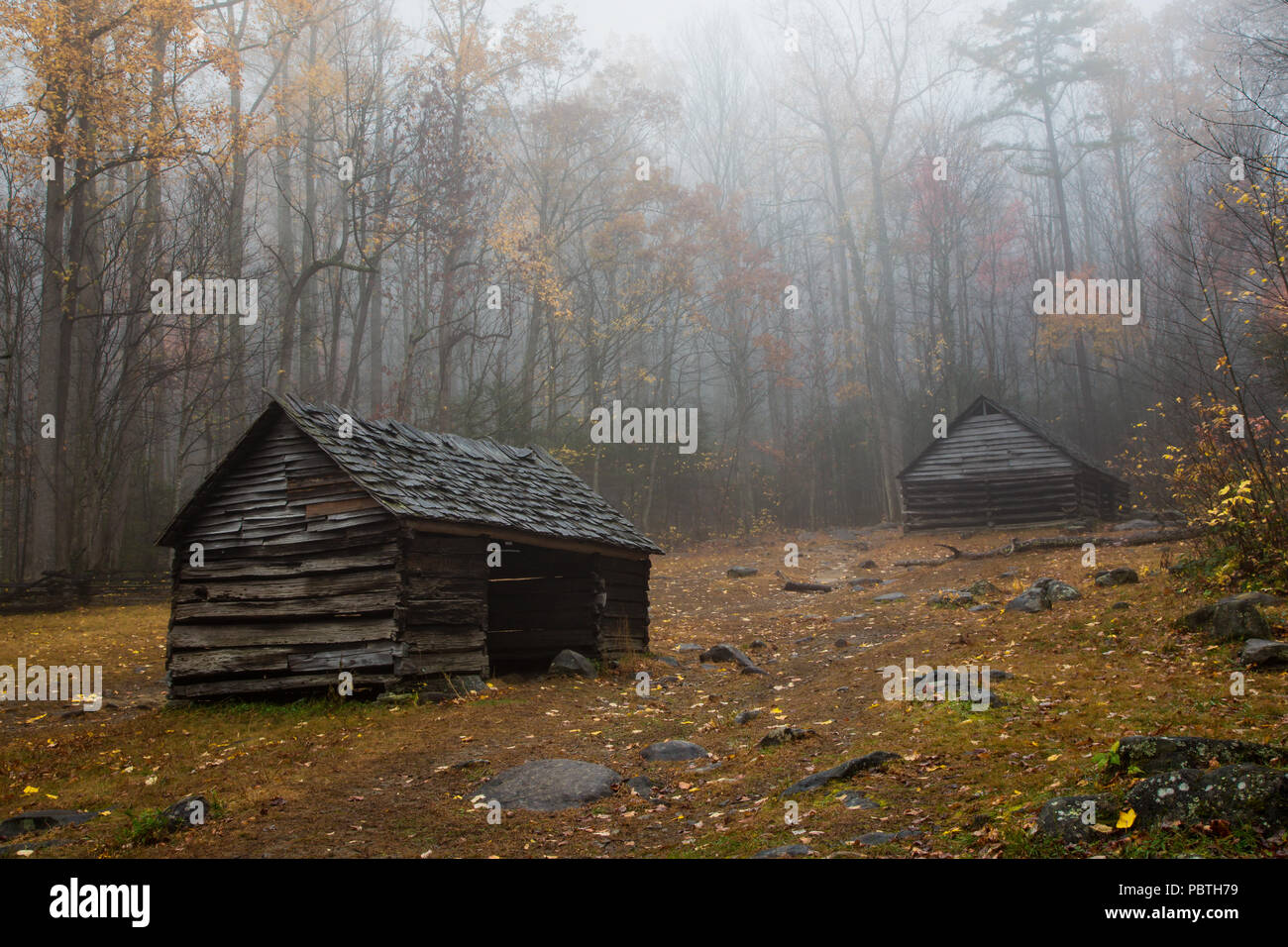 Former homestead of Jim Bales on the Roaring Fork Motor Nature Trail ...