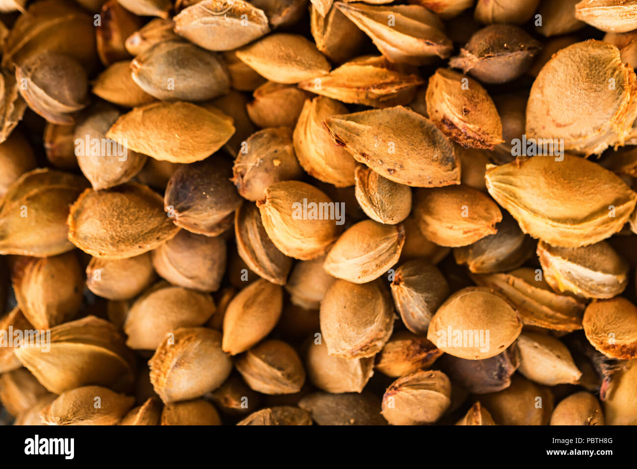Apricot stones background Stock Photo - Alamy