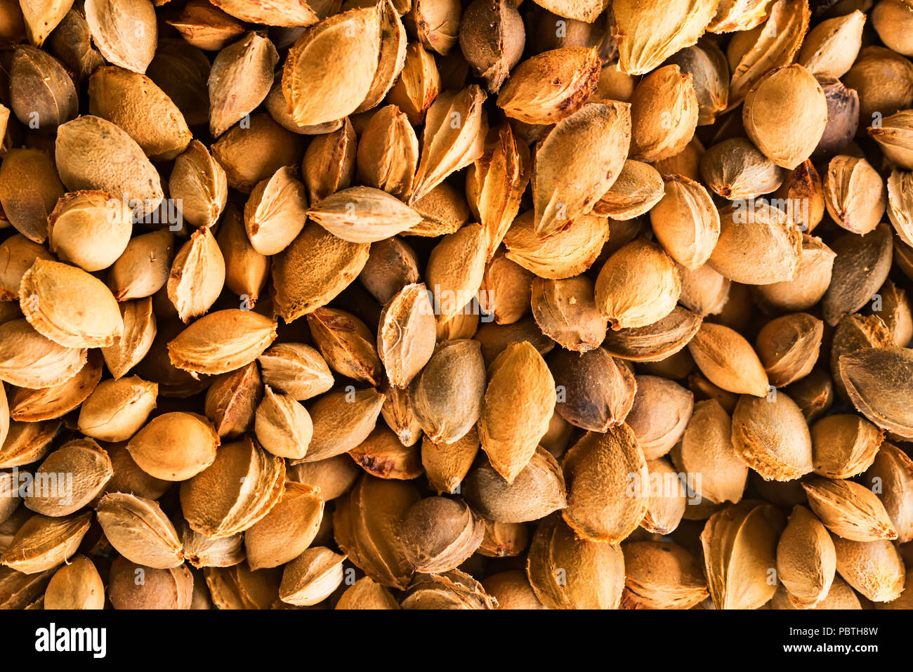 Apricot stones background Stock Photo - Alamy