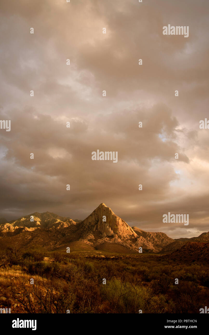 Elephant Head, Sonoran Desert, Coronado National Forest, Santa Rita ...