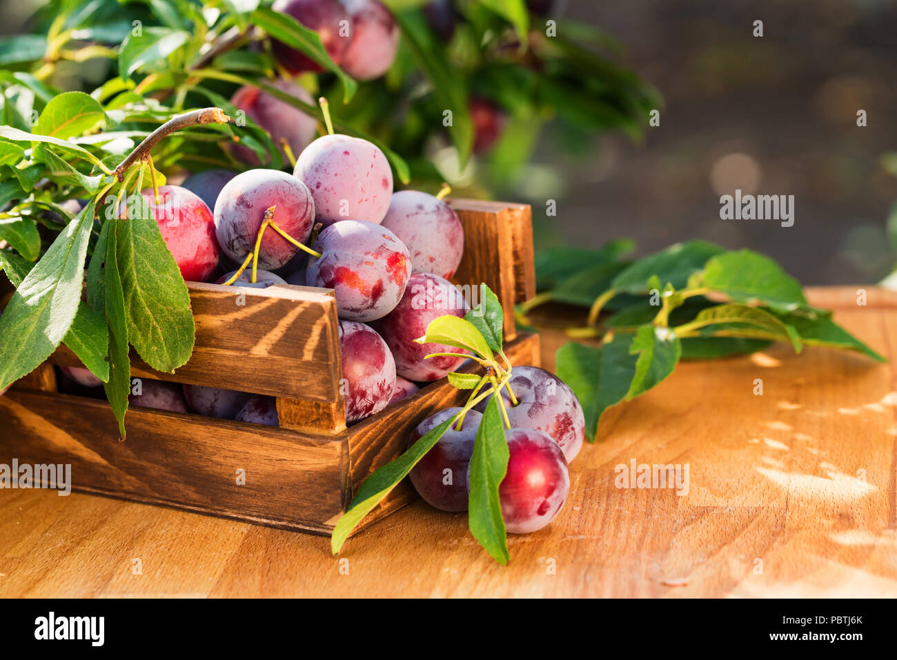 Box of plums hi-res stock photography and images - Alamy