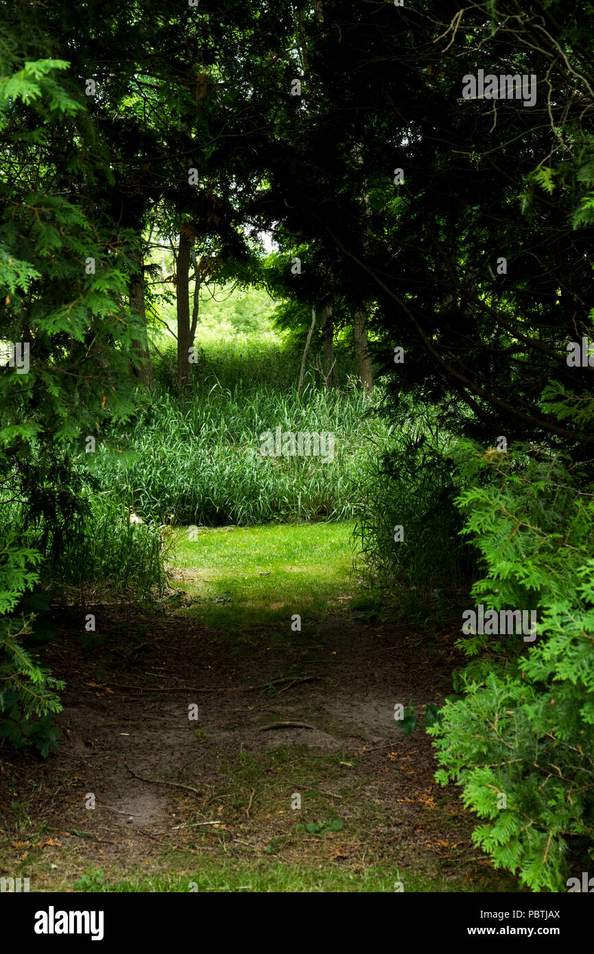 Dark Green Path Stock Photo - Alamy