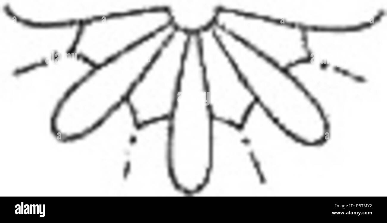 Adam asnyk hi-res stock photography and images - Alamy