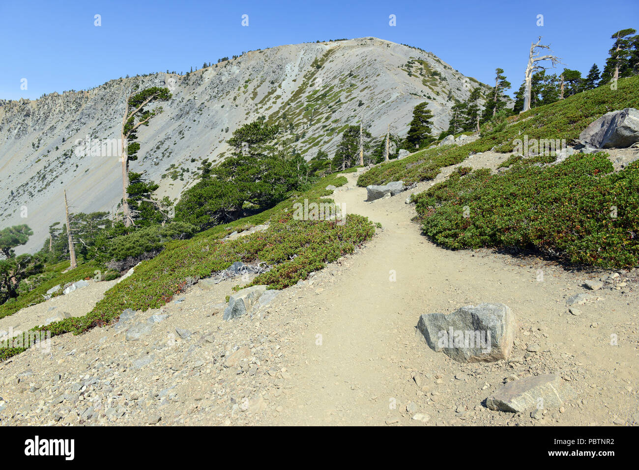 Mount baldy san bernardino california hi-res stock photography and ...