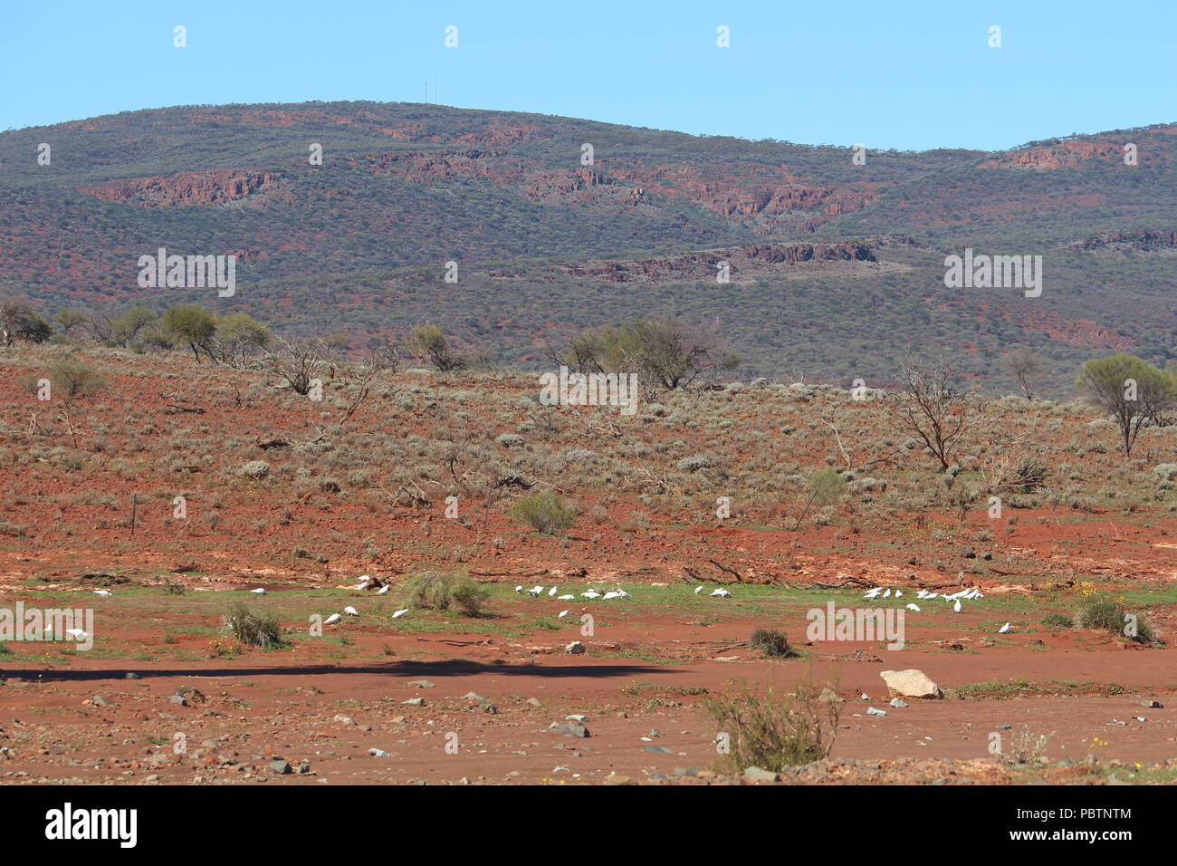 Western australia australian outback hi-res stock photography and ...