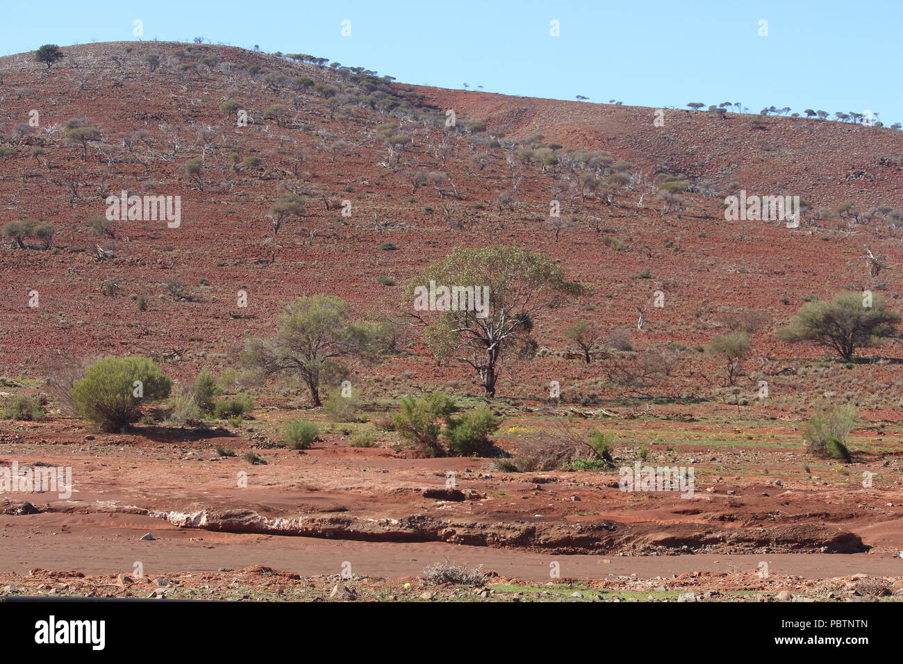 Australian outback landscape bush hi-res stock photography and images ...