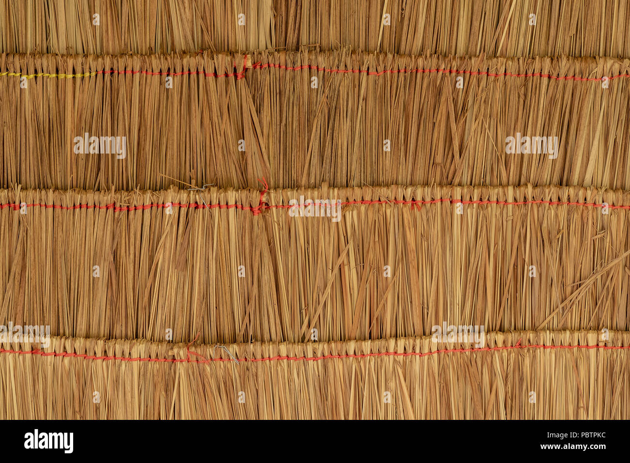 Palm thatch hi-res stock photography and images - Alamy