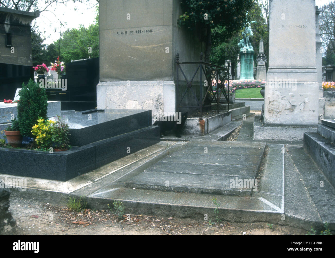 Rudy the cat hi-res stock photography and images - Alamy