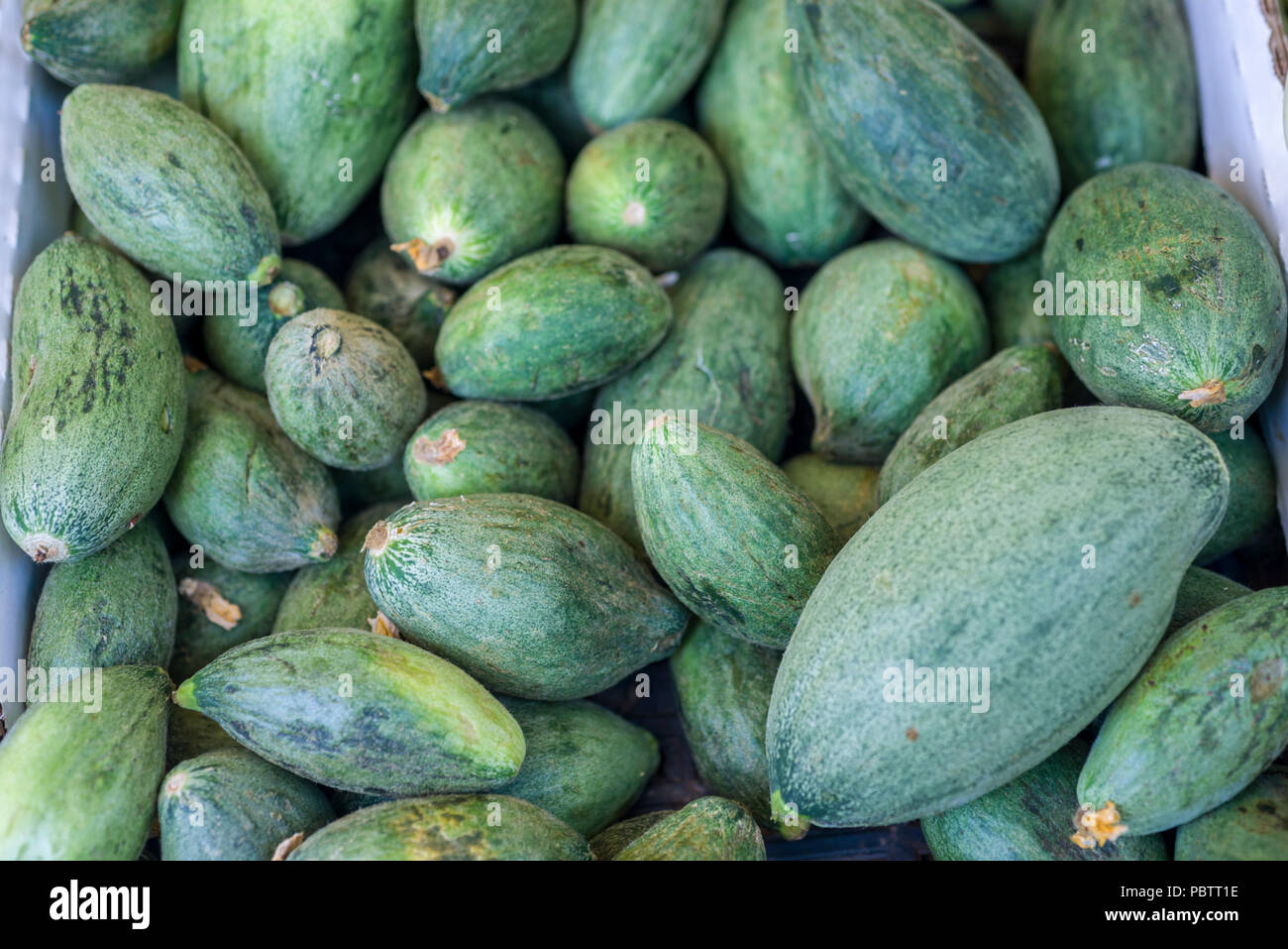 Cucumber type hi-res stock photography and images - Alamy