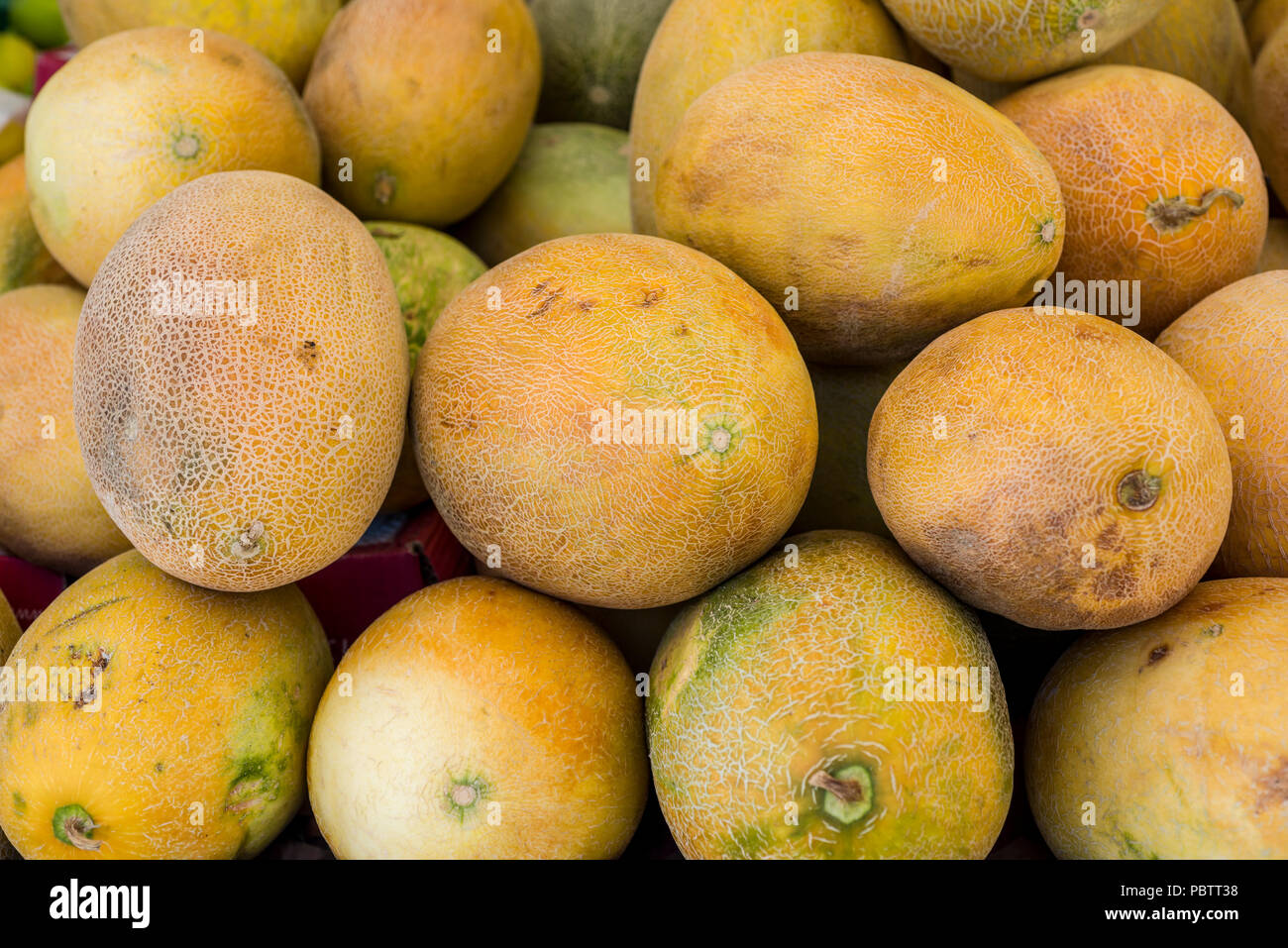 Melons in market Stock Photo - Alamy