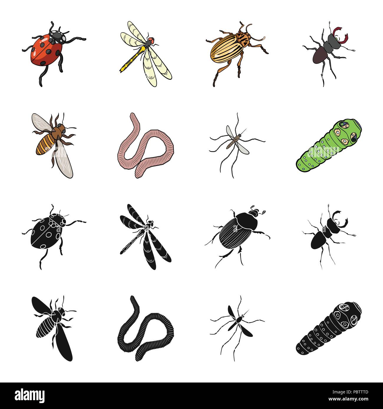 Arthropods insect mosquito, bee.Earth worm, caterpillar,vermicular set ...