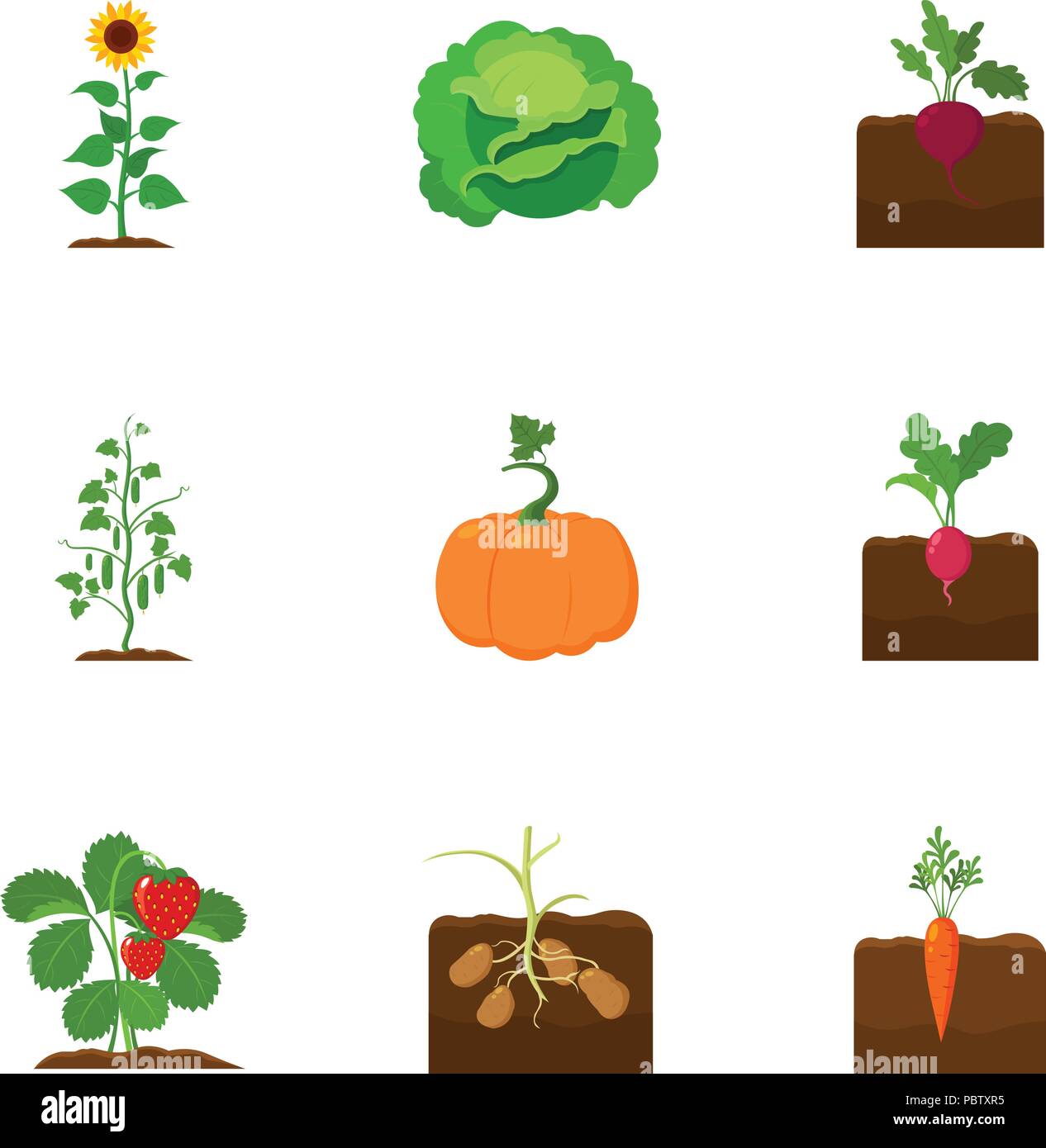 Plant set icons in cartoon style. Big collection of plant vector symbol ...