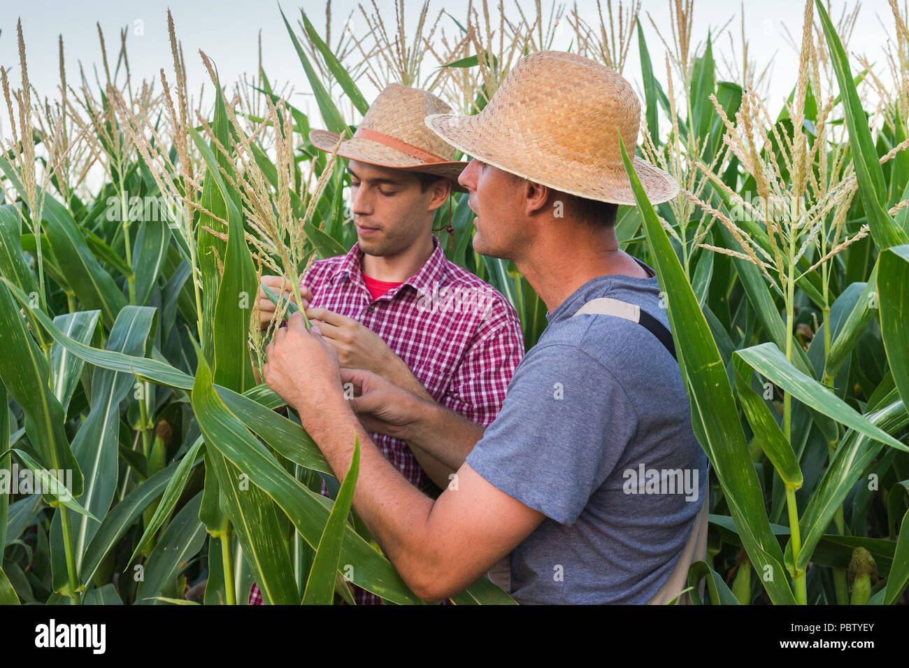 Two farmers discussion hi-res stock photography and images - Alamy