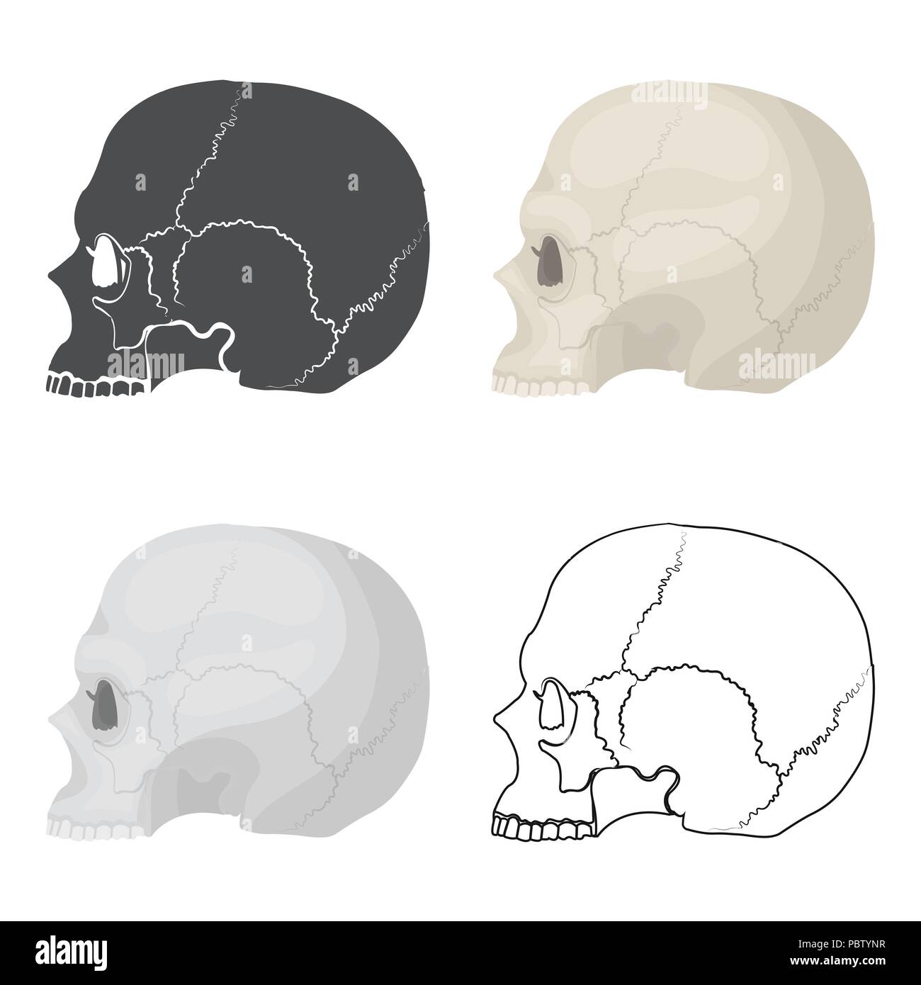 Blaze skull Stock Vector Images - Alamy