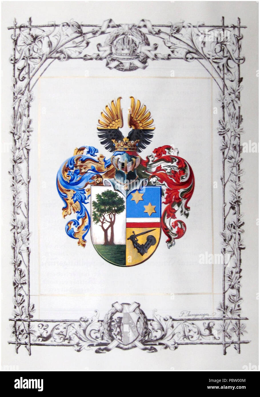 Adelsdiplom - Hofer von Lichfels 1916 - Wappen Stock Photo - Alamy