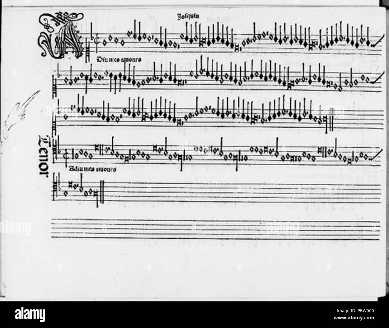 Amours Black and White Stock Photos & Images - Alamy