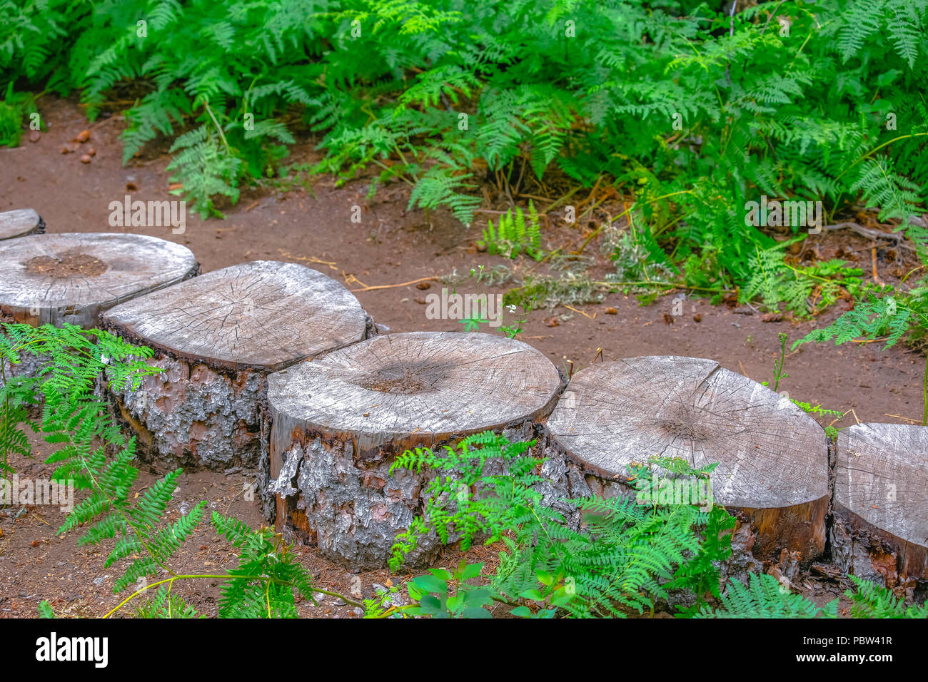 Natural obstacle course hi-res stock photography and images - Alamy