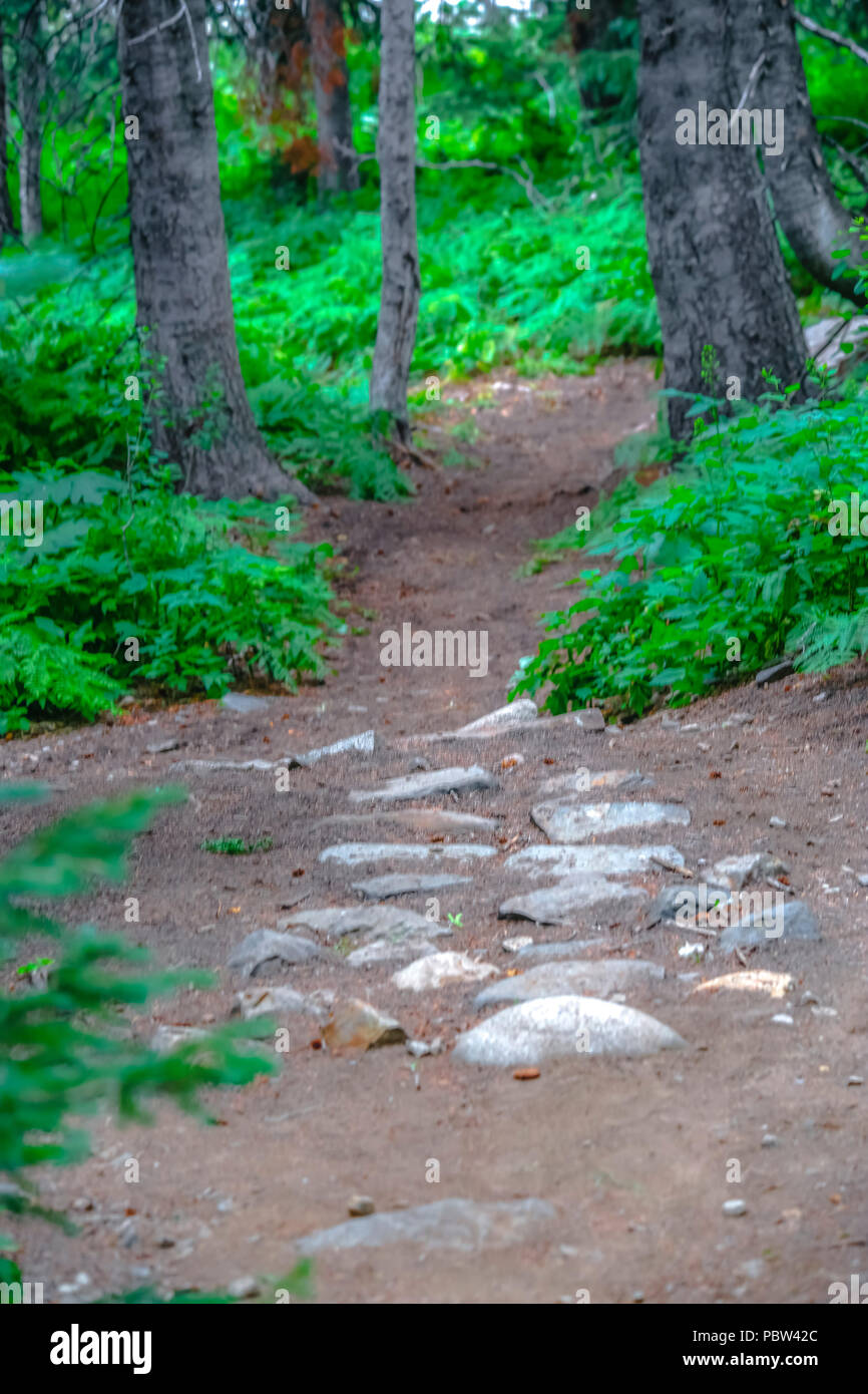 Natural obstacle course hi-res stock photography and images - Alamy
