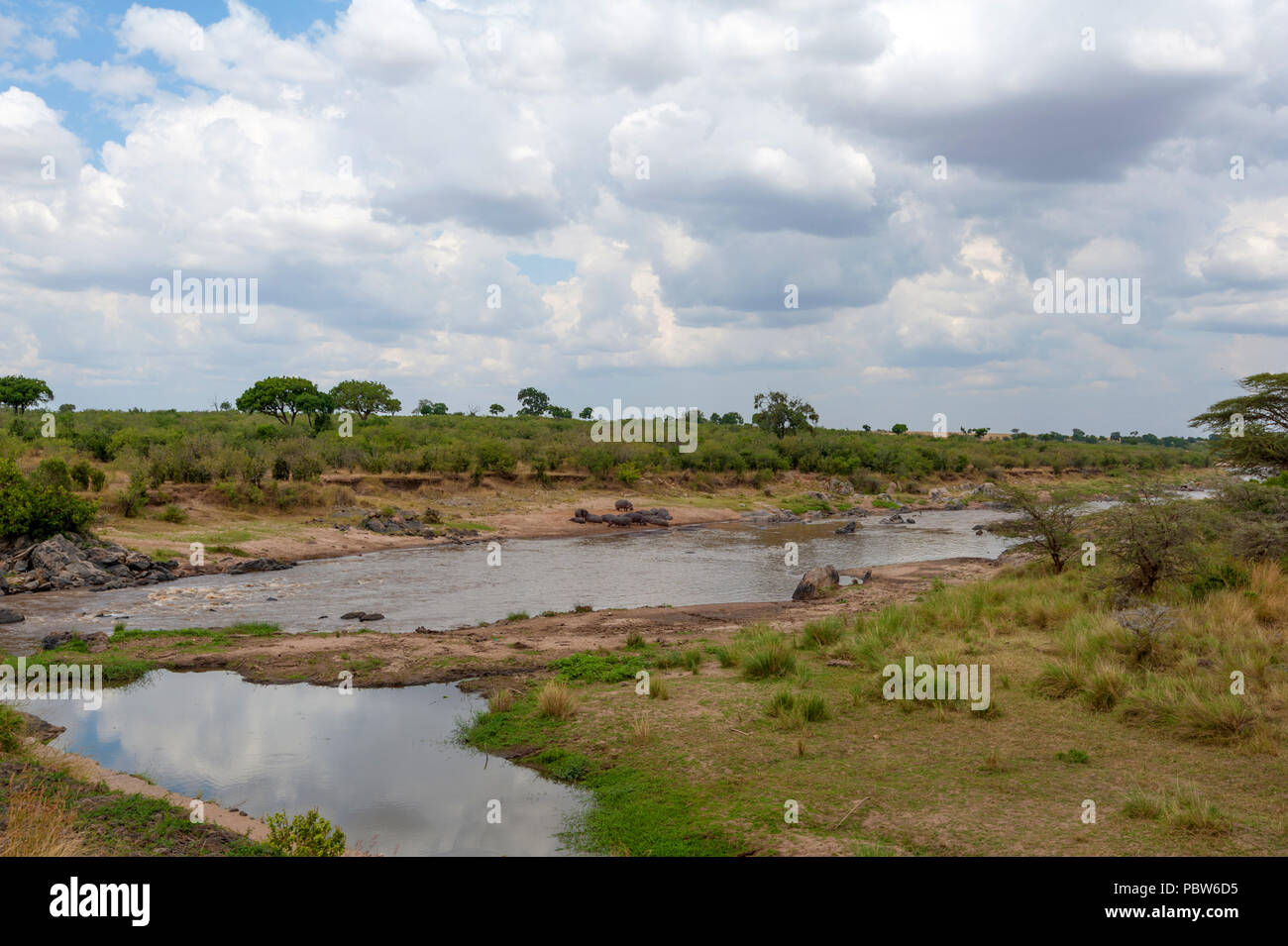 Savannah landscape with river in the National park of Kenya, Africa ...