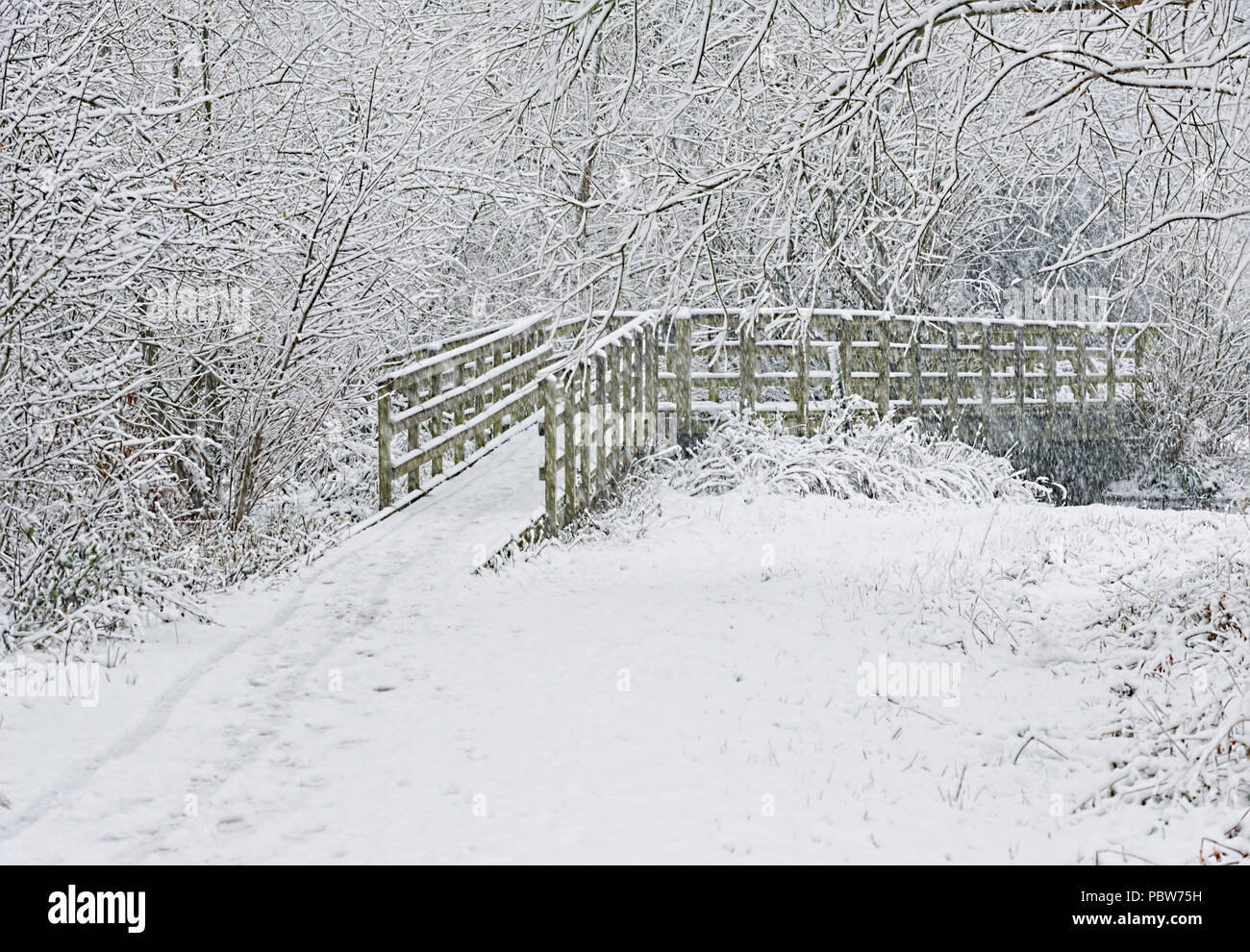 Snow covered wooden bridge Hertfordshire Stock Photo - Alamy