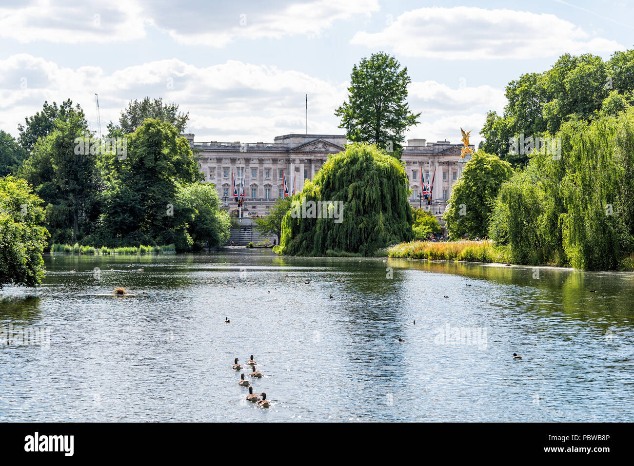 Buckingham palace garden lake hi-res stock photography and images - Alamy