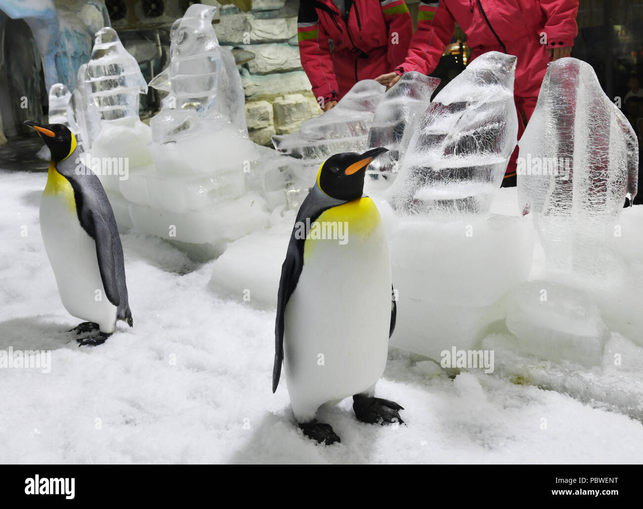 Penguins ice sculptures hi-res stock photography and images - Alamy