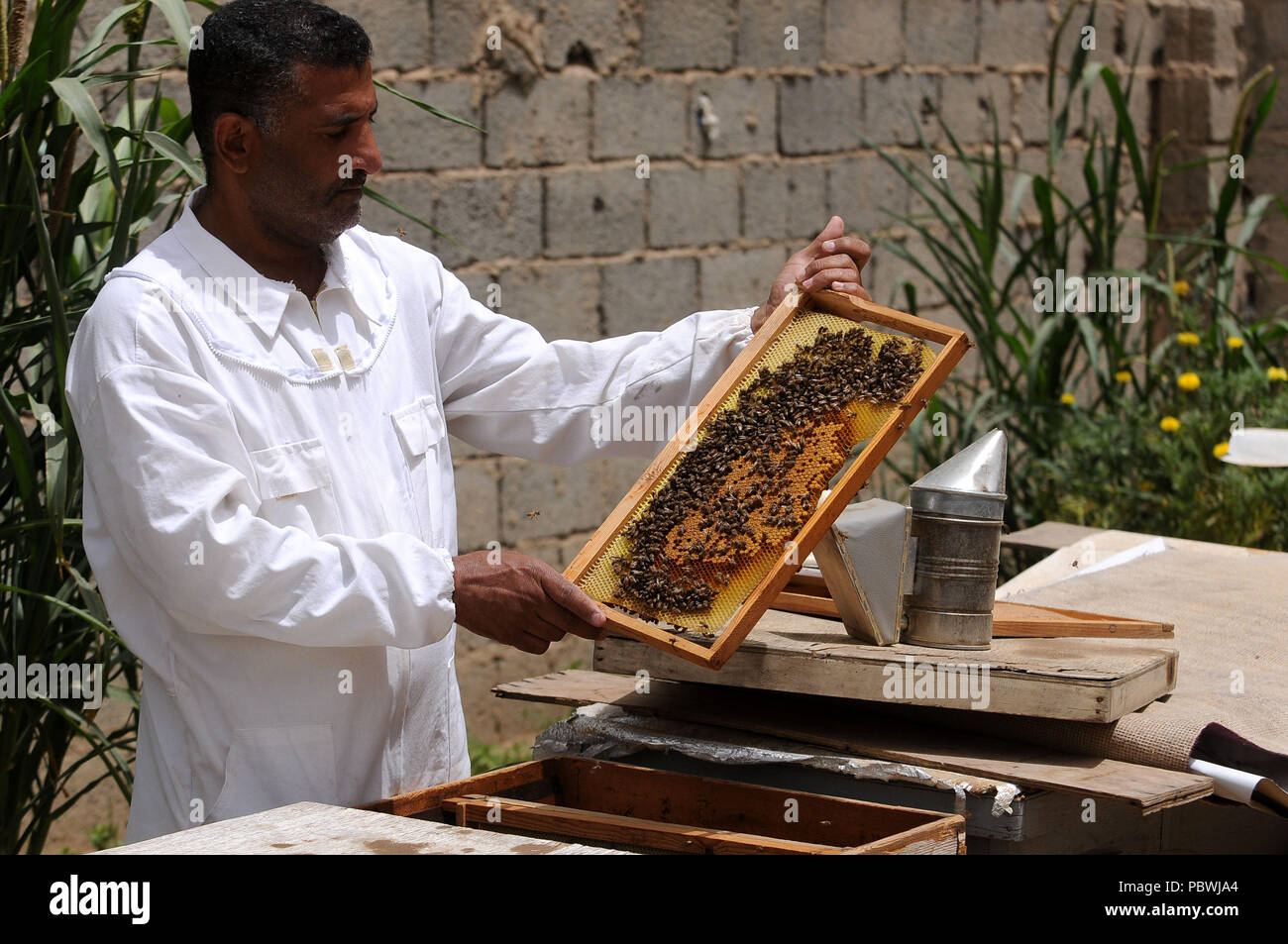 Traditional Beehives Stock Photos & Traditional Beehives Stock Images ...
