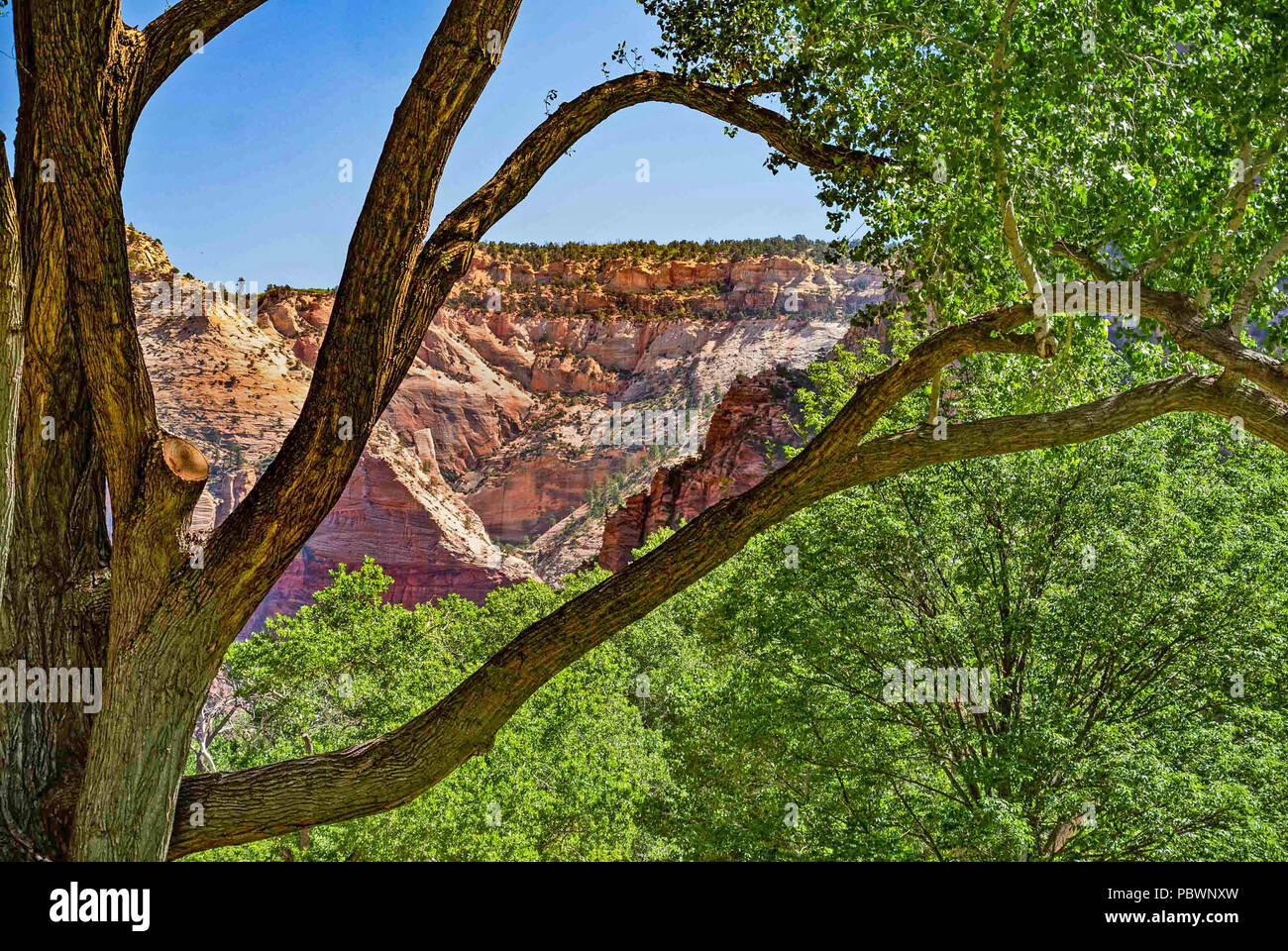 Utah, USA. 3rd June, 2018. Multi-colored towering sedimentary rock ...