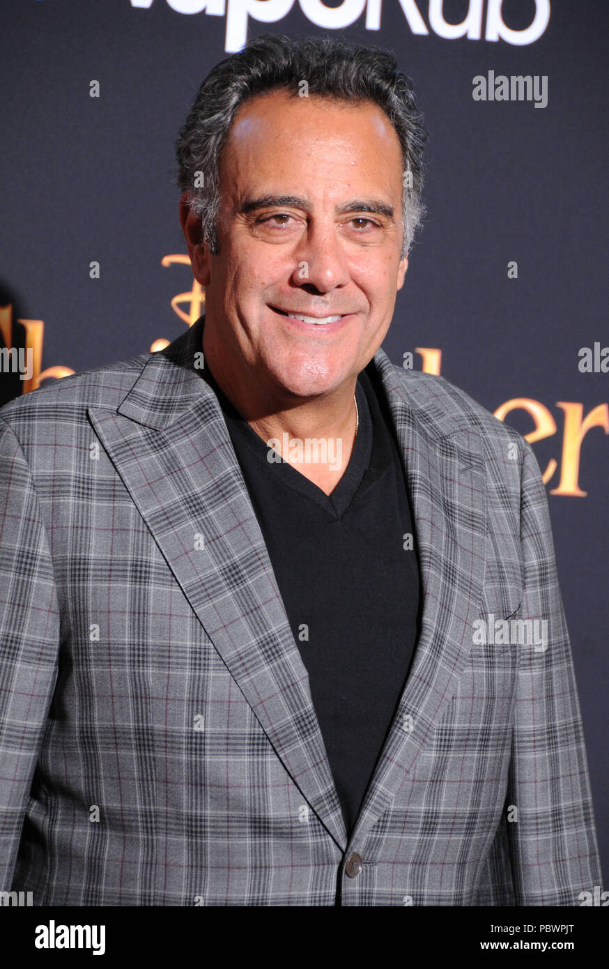 Burbank, California, USA. 30th July 2018. Actor Brad Garrett attends ...