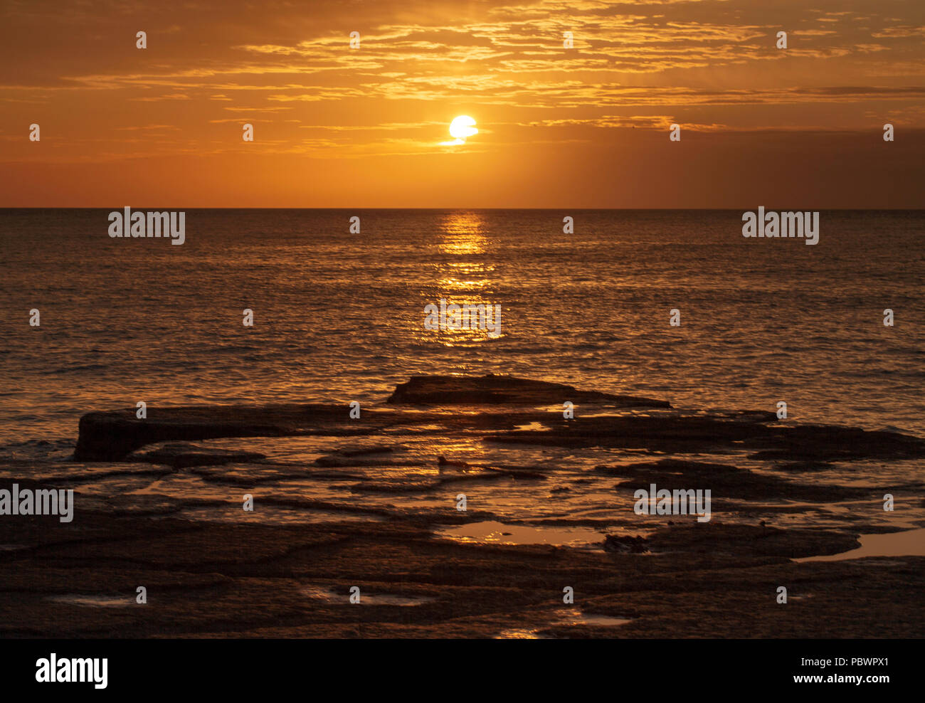 Graham shields hi-res stock photography and images - Alamy