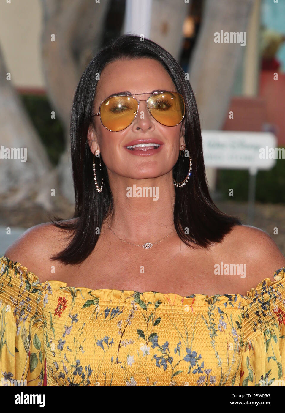 Burbank, California, USA. 30th July, 2018. Kyle Richards, at Premiere ...