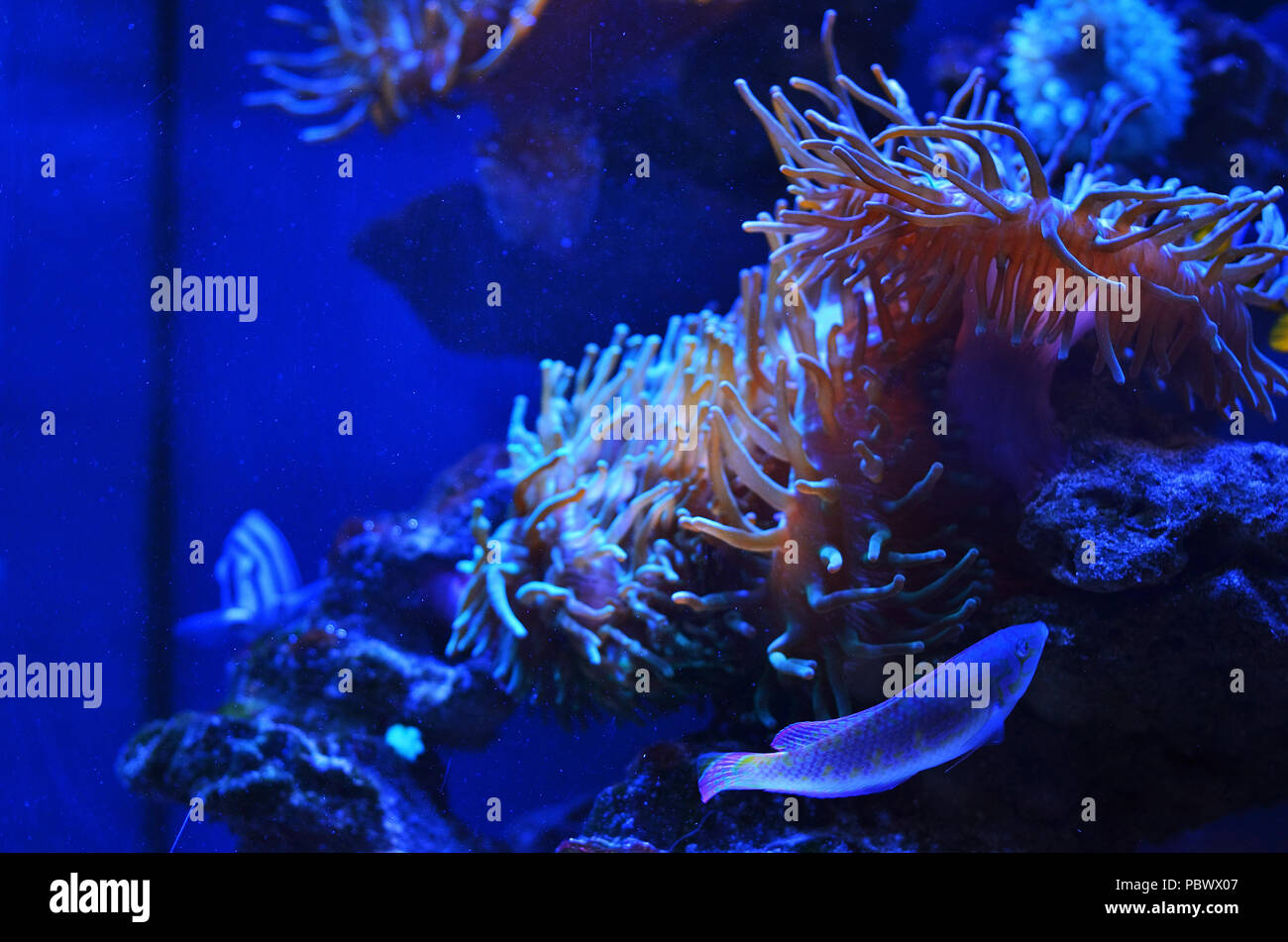 Sea floats barrier hi-res stock photography and images - Alamy
