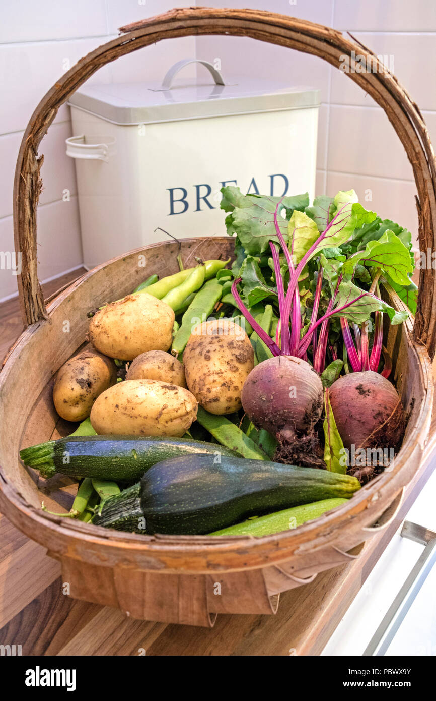 Vegetables allotment table hi-res stock photography and images - Alamy