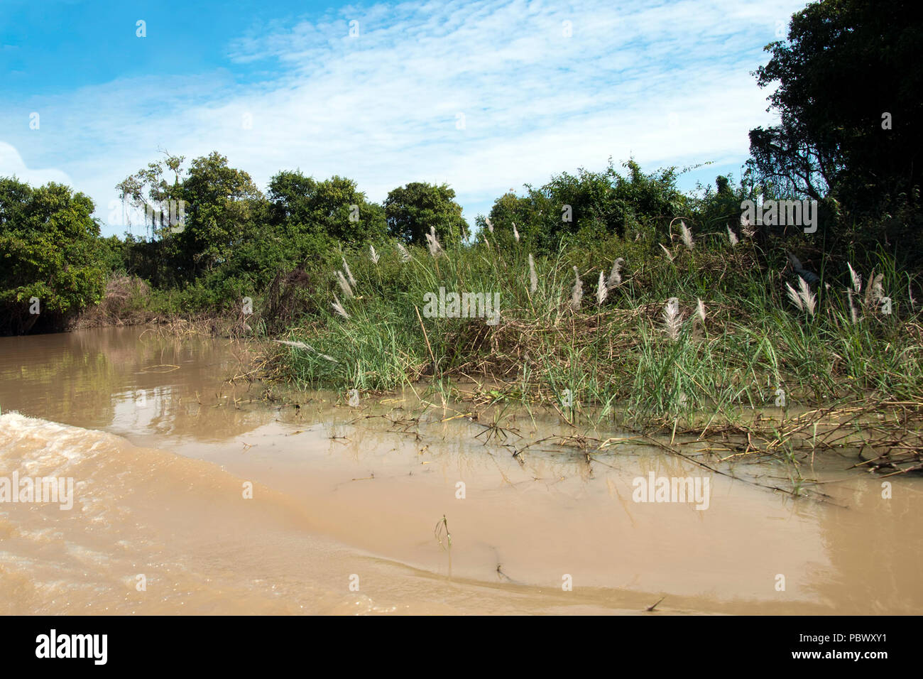 Sangker River, natural riverbank scene Stock Photo - Alamy
