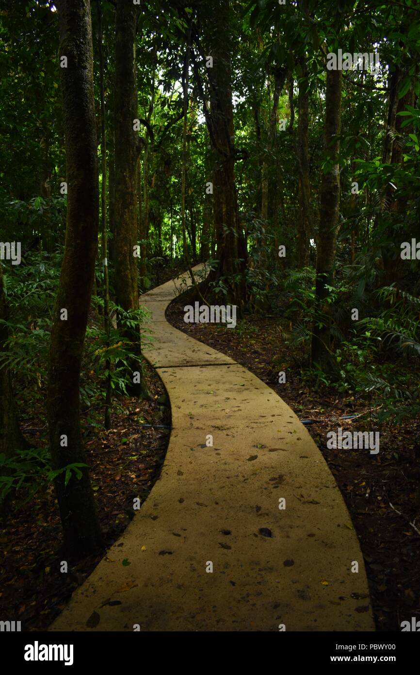 winding forest path Stock Photo - Alamy