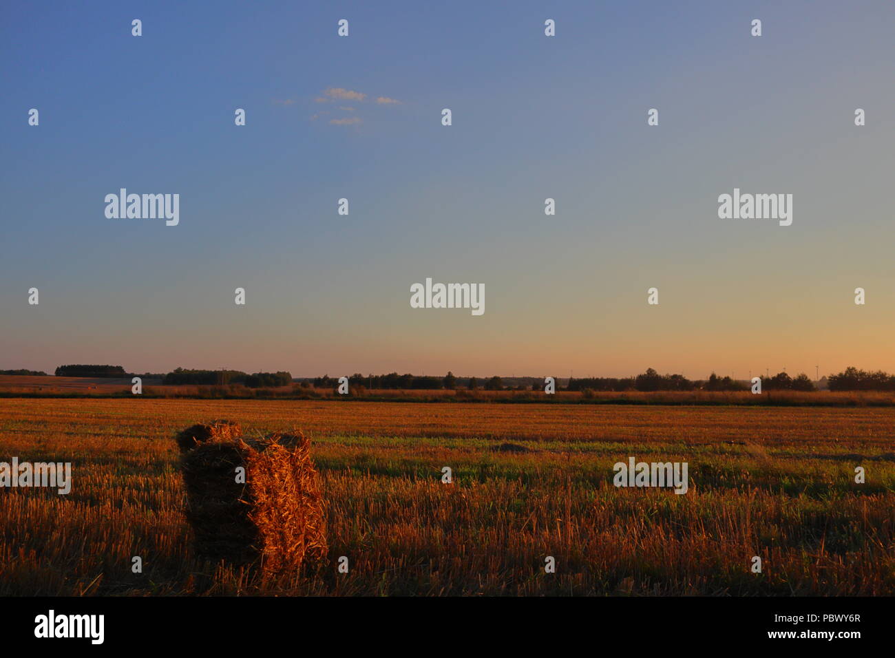 Hay bundle hi-res stock photography and images - Alamy