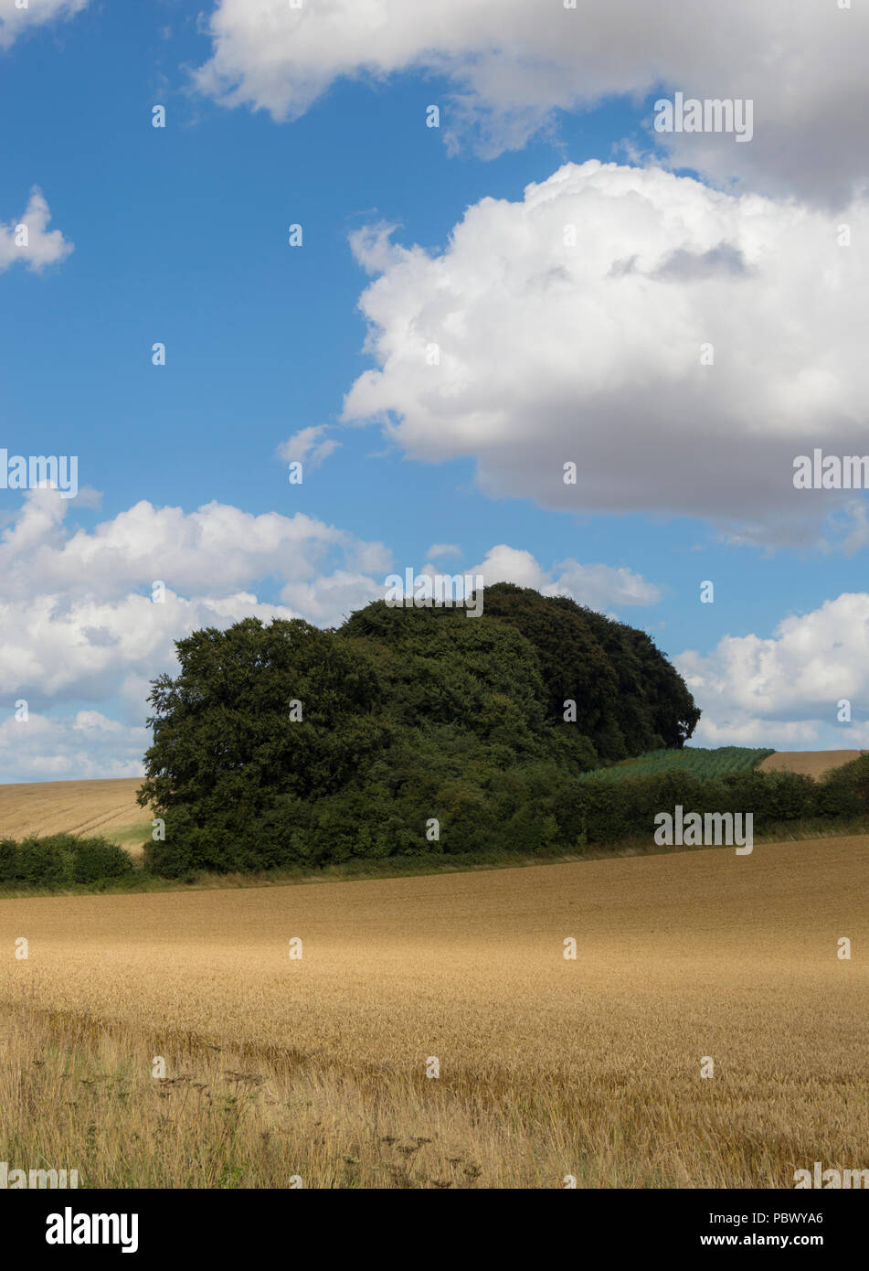 Great driffield hi-res stock photography and images - Alamy
