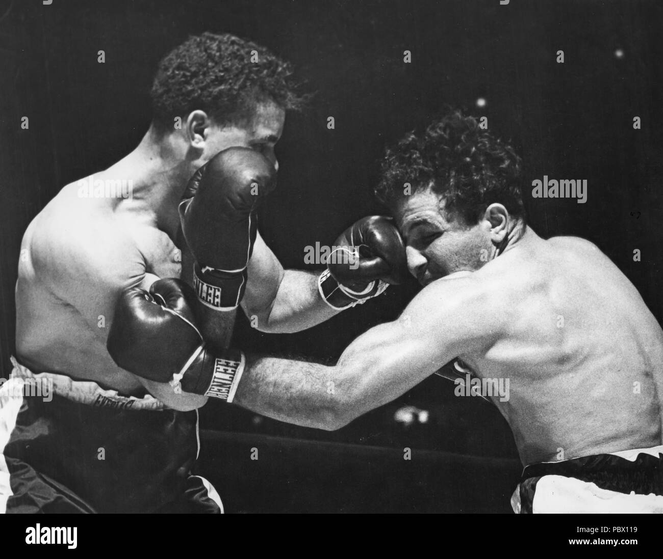 Fox boxe hi-res stock photography and images - Alamy
