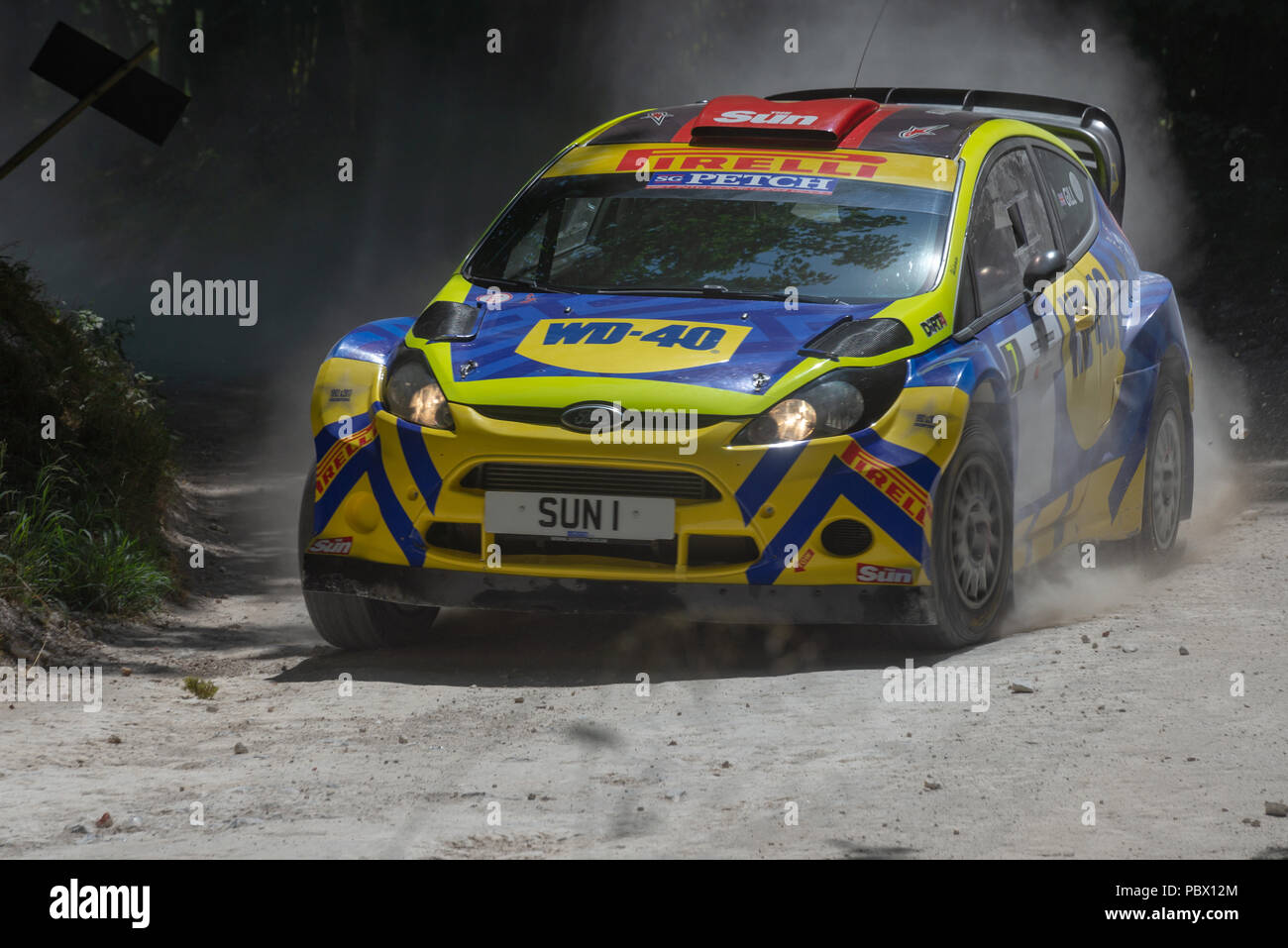 Ford Fiesta WRC World Rally Car sponsored by The Sun and WD40 in the ...