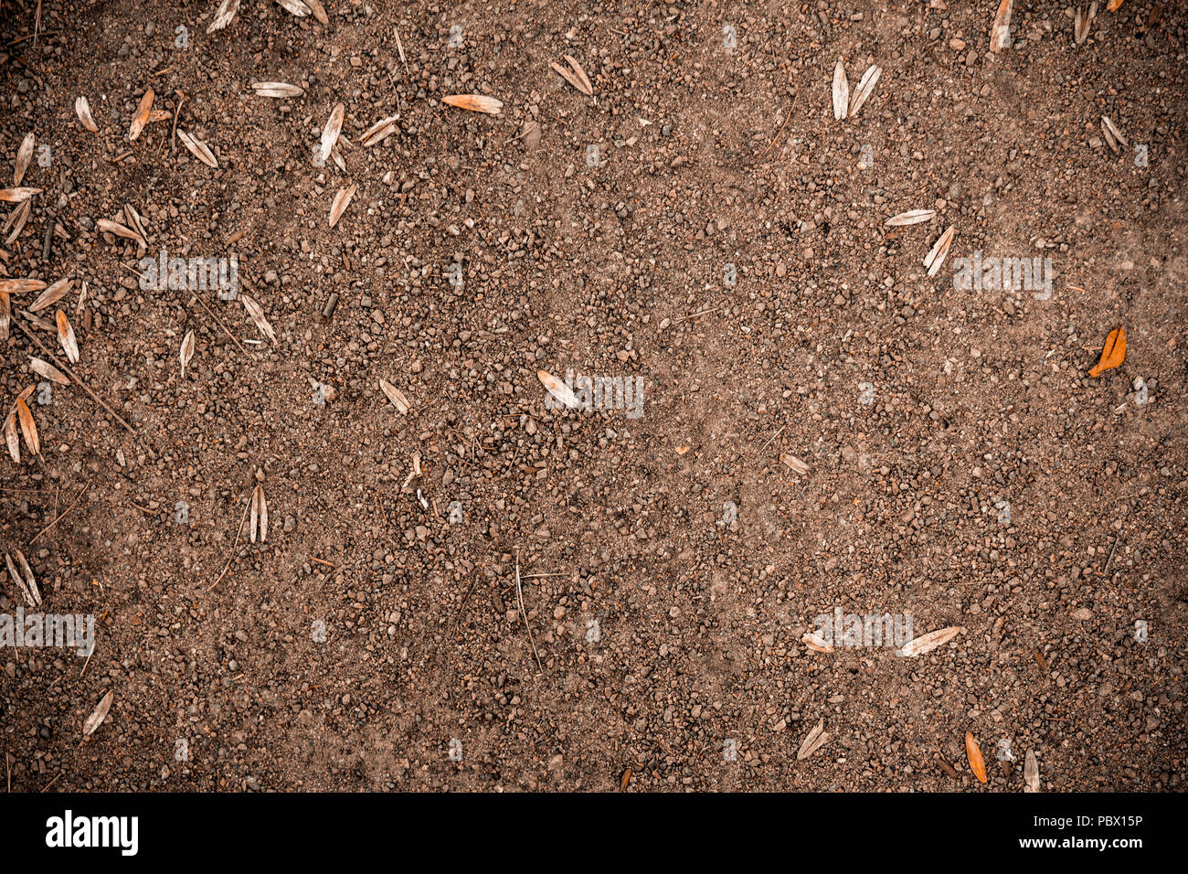Brown texture of red granite Gravel path with scattered tree seeds ...