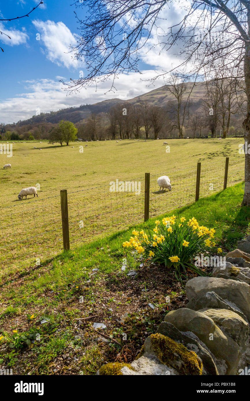 Luss Village Scotland High Resolution Stock Photography and Images - Alamy