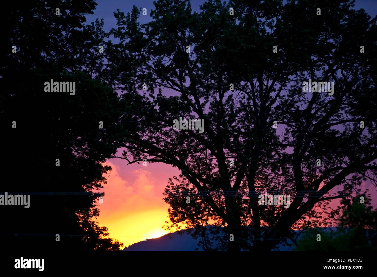 Sunset through a break in the forest Stock Photo - Alamy