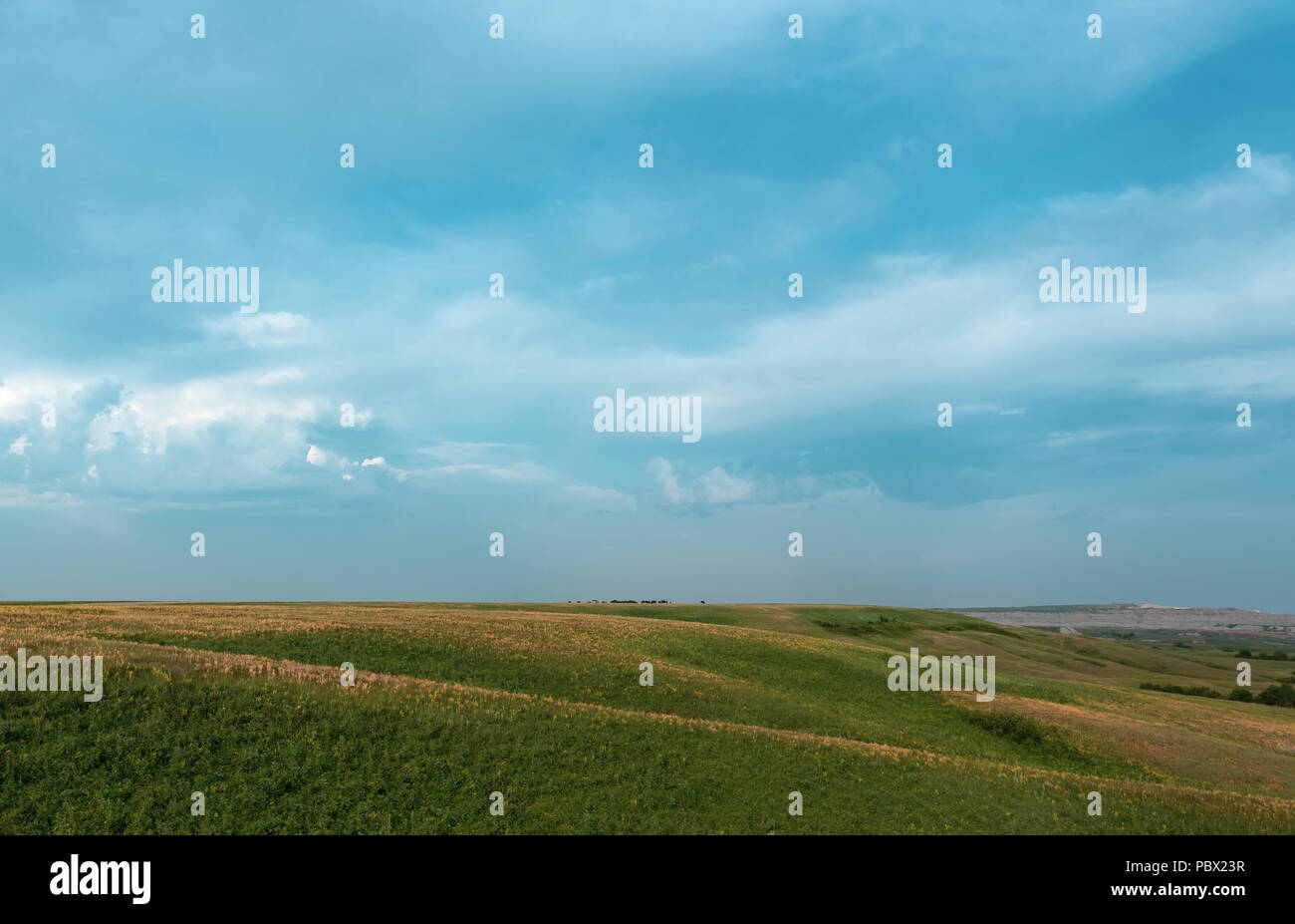 Last Rays of Light Fall Over Grassy Field near Badlands Stock Photo - Alamy