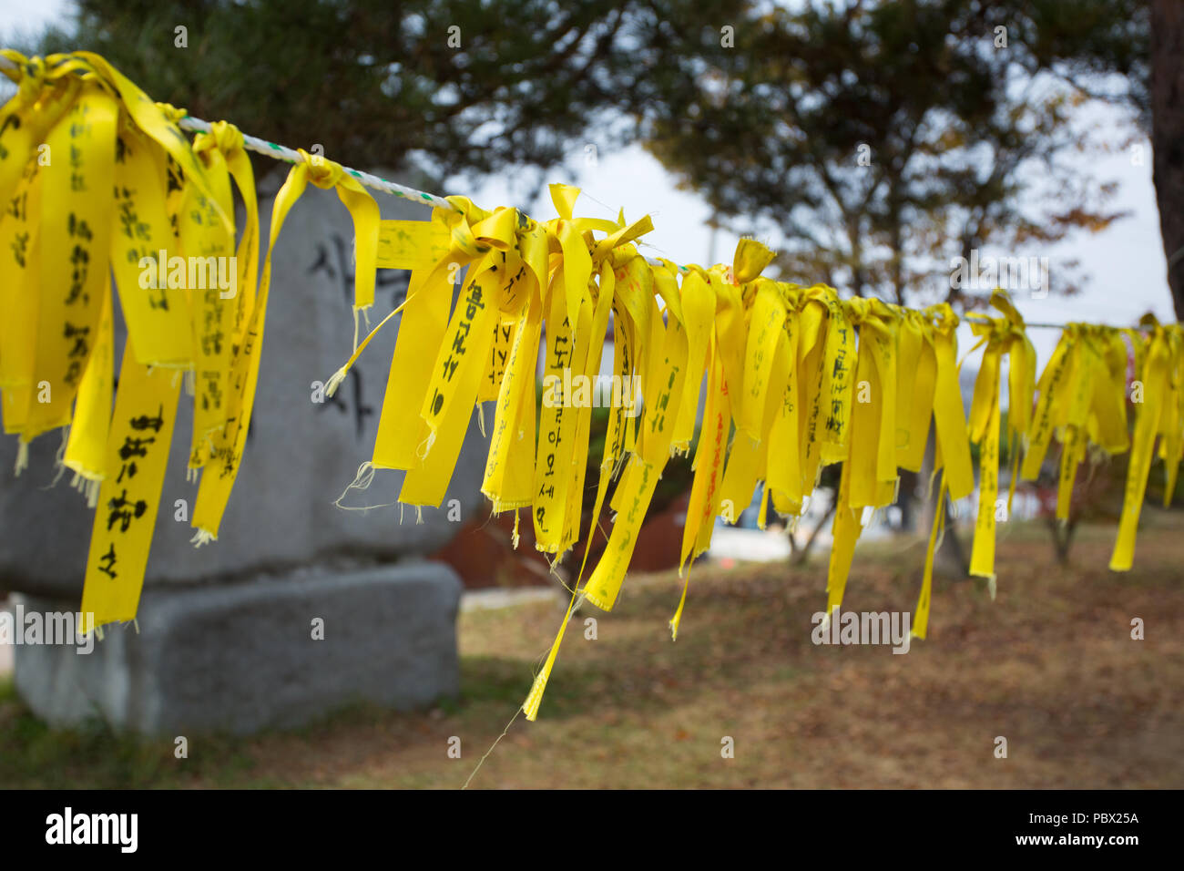 South Korean Hope Ribbons Stock Photo - Alamy
