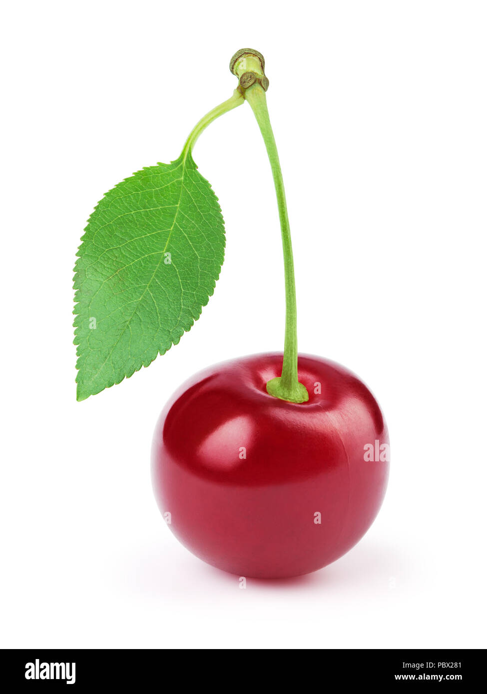 Fresh cherry with leaf isolated on white Stock Photo - Alamy