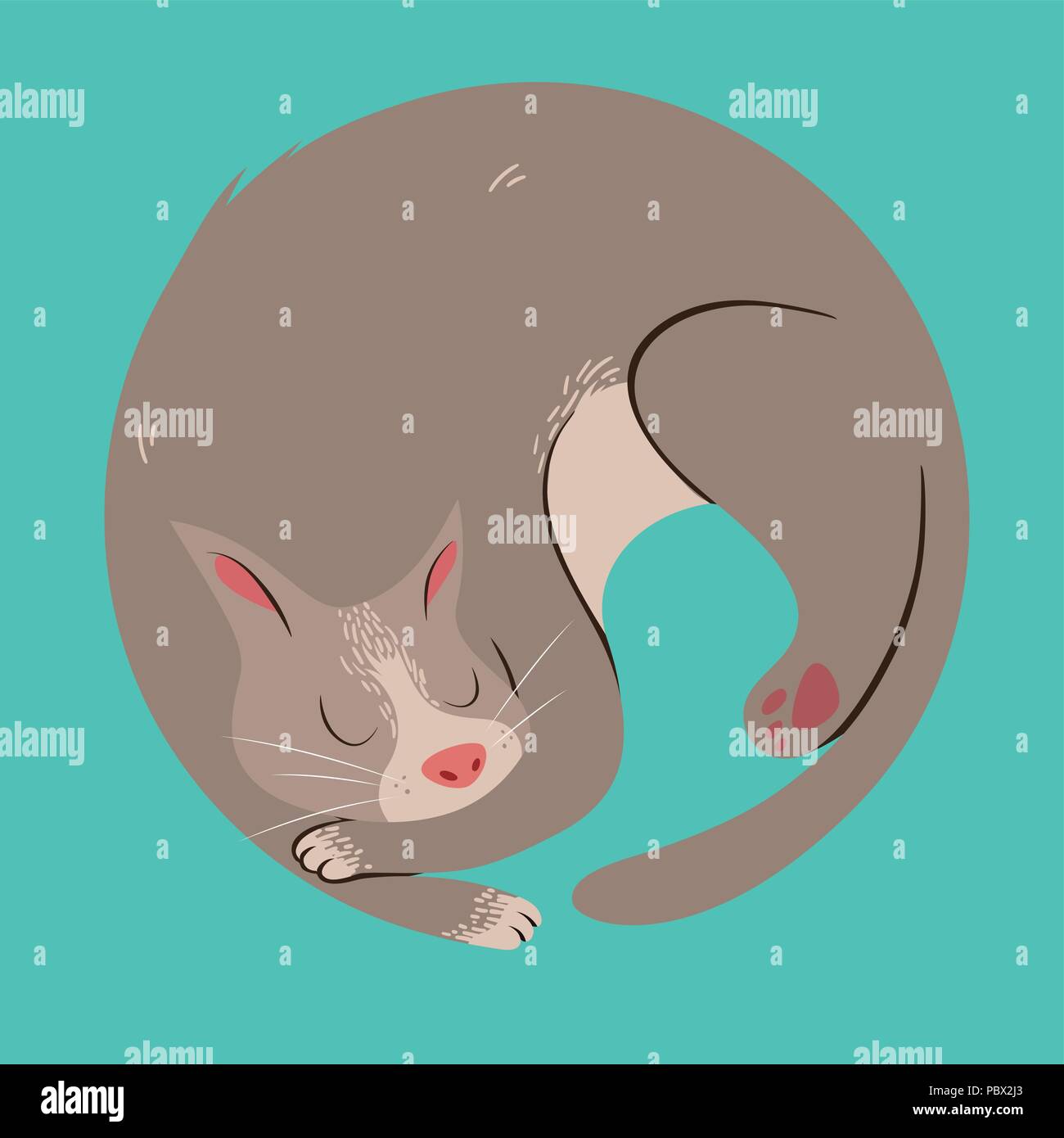 Cute cat sleeping curled Stock Vector Images - Alamy
