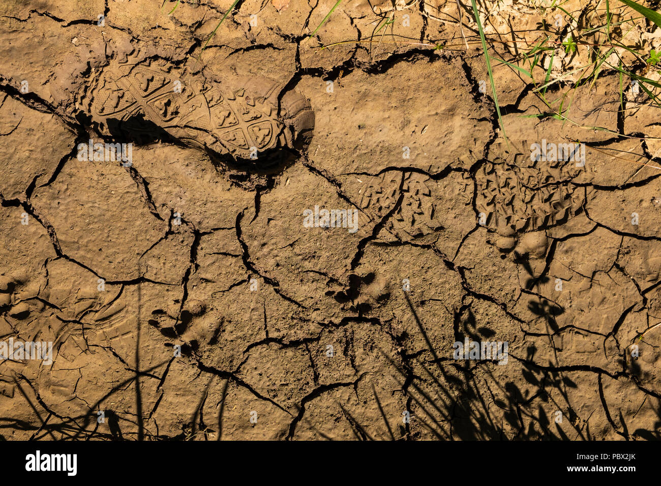 Boot print mud hi-res stock photography and images - Alamy