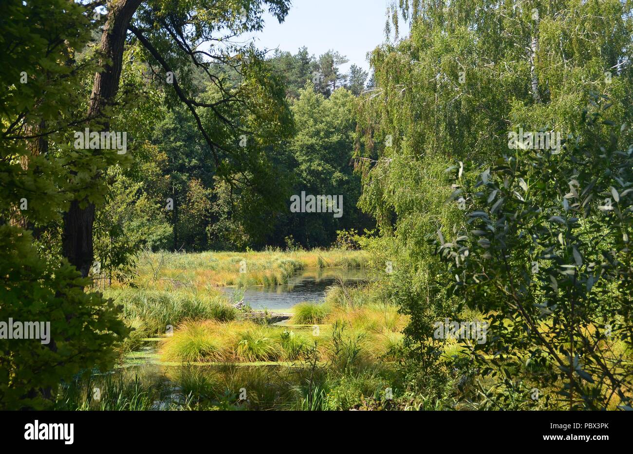 Natural lake landscape hi-res stock photography and images - Alamy