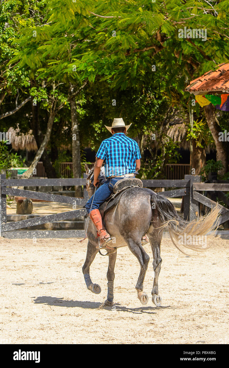 Cowboy rides a horse Stock Photo - Alamy