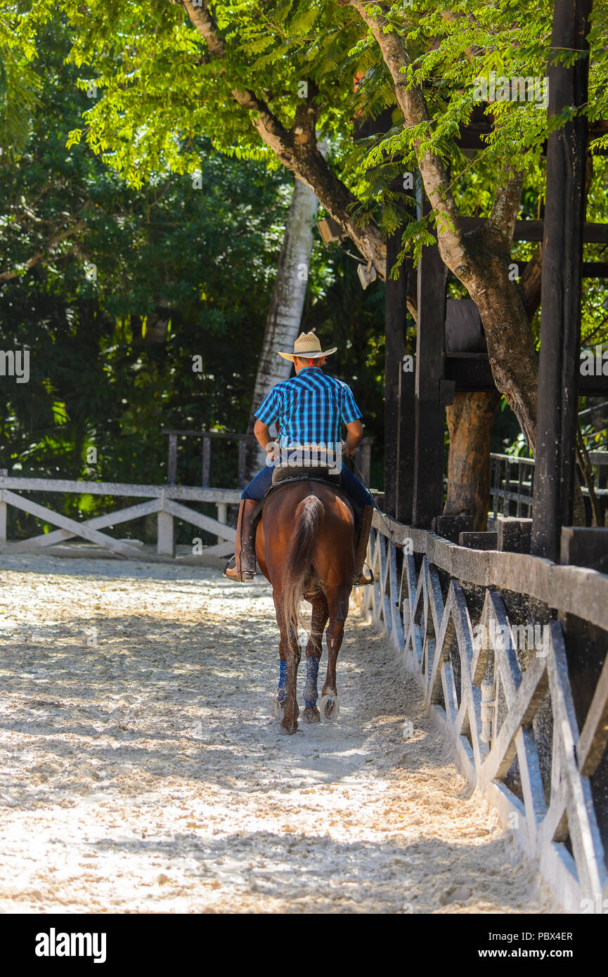 Cowboy rides a horse Stock Photo - Alamy